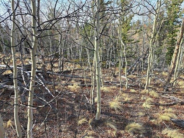 93 Wyandot Way Lot 12, Como, CO 80432