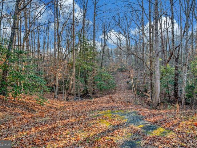 93 Dent Road