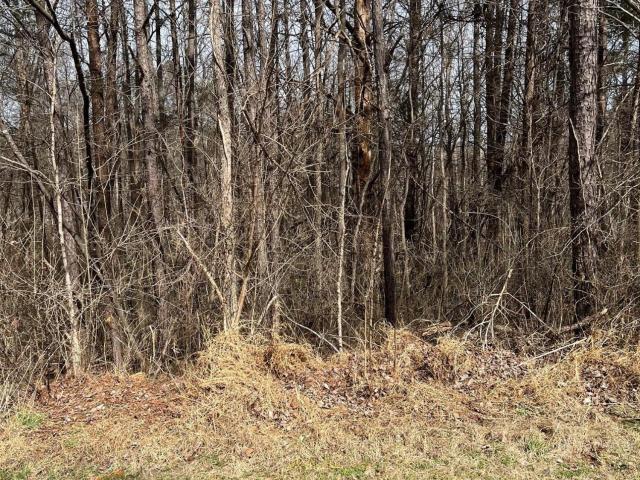 93 lot Haynoke Dr, Graham, NC 27253 | MLS #10148