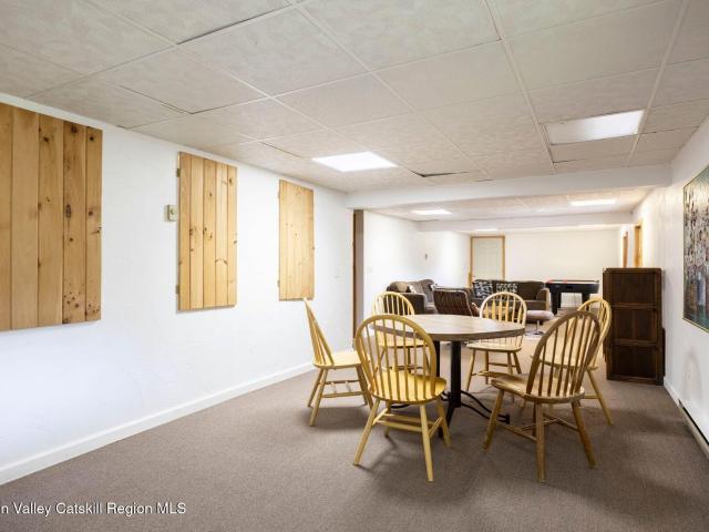 93 Maplewood Ave, Windham, NY 12496 | MLS #20254