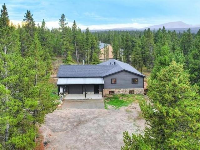 93 Prospect Dr, Alma, CO 80420