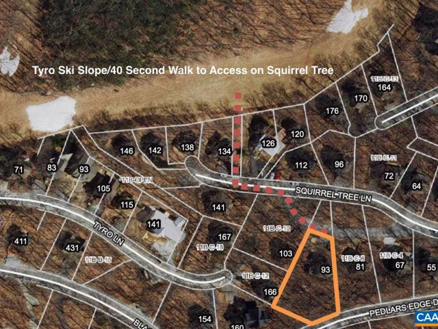 93 squirrel tree ln