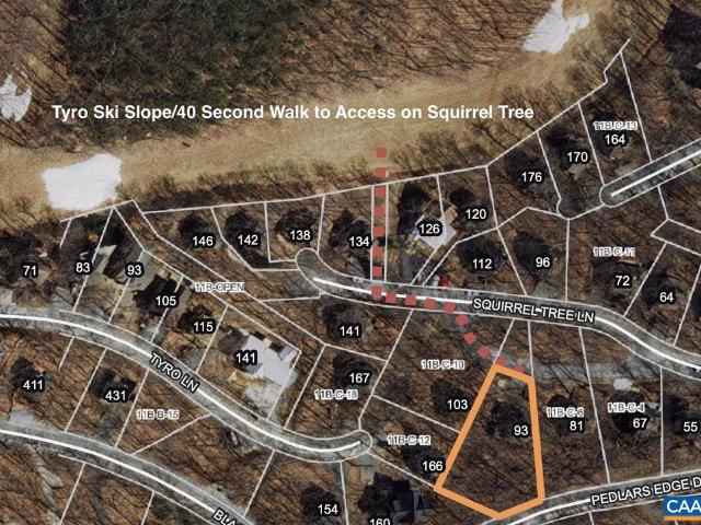 93 Squirrel Tree Ln