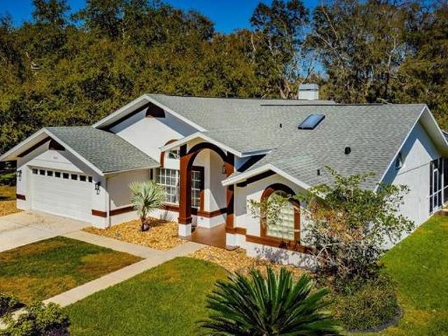 9007 Tarawynd Ct, Odessa, FL 33556