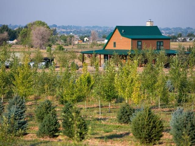 9001 2 Rd, Austin, CO 81410