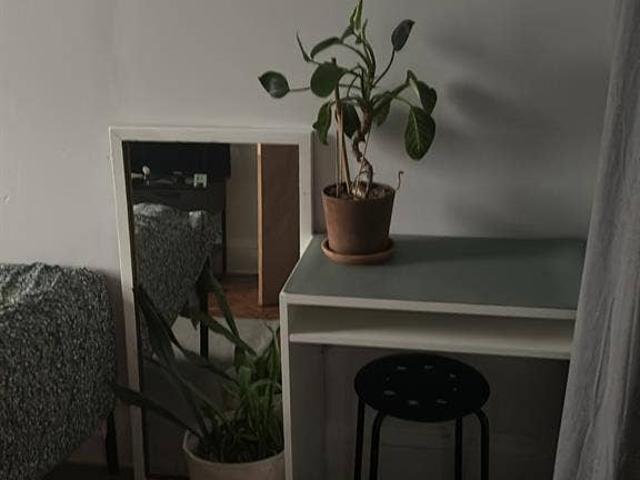 $900 / 2br Female roommate only