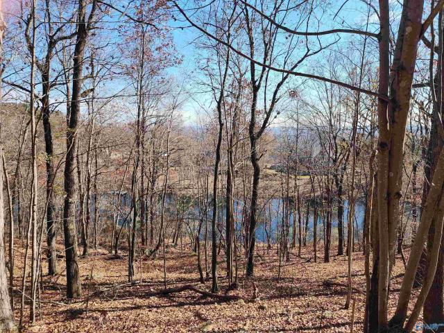 900 County Road 839