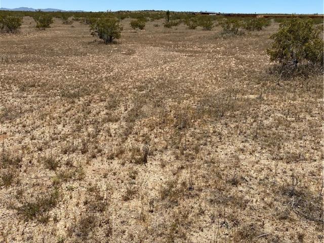 900 Fetlock, Landers, CA 92285 | MLS #JT26025