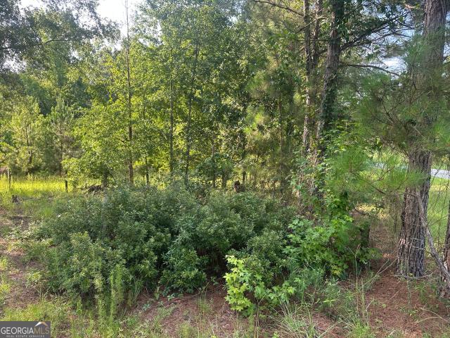 900 Habersham Church Road