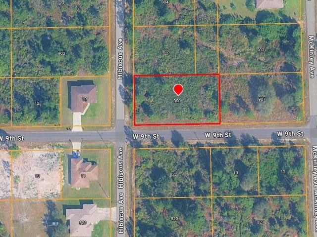 900 Hibiscus Ave, Lehigh Acres, FL 33972 | MLS #TB8488