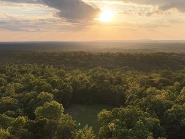 900 Mountain Dr Lot 1, Remlap, AL 35133