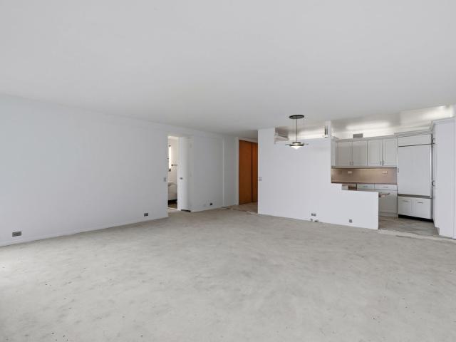 900 N Lake Shore Drive # 1207