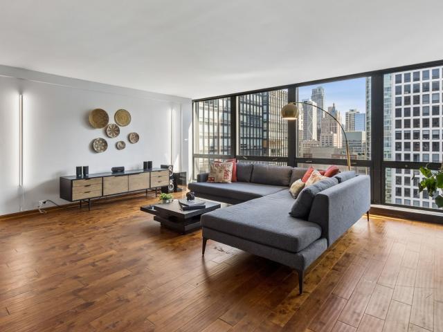 900 N Lake Shore Drive # 2308
