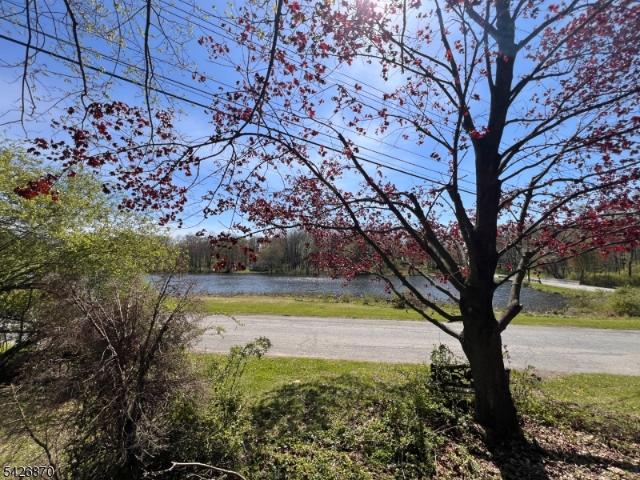 900 Primrose Path