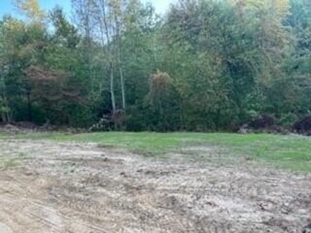 900 Wilber Hill Rd, Blaine, KY 41124
