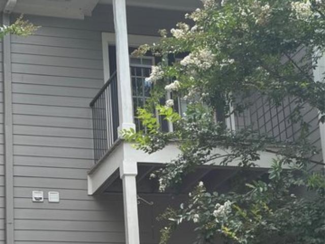 900 Vista Lake Dr Apt 302, Candler, NC 28715