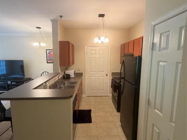 900 Vista Lake Drive # 302