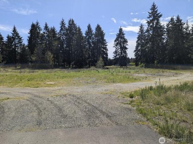 9019 rd Ave SW, Rochester, WA 98579