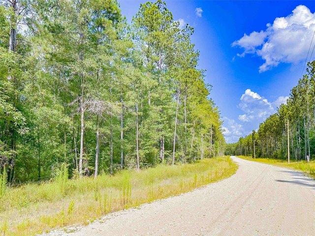 9010 Carter Ranch Rd, Kountze, TX 77625