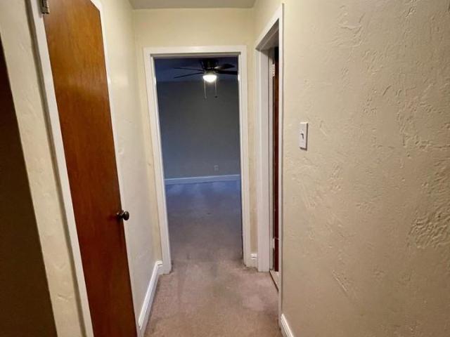 901 1851 Capital Avenue 1 Bedroom Apartment for Rent at 1851 Capital Ave, Pittsburgh, PA 15226 Brookline