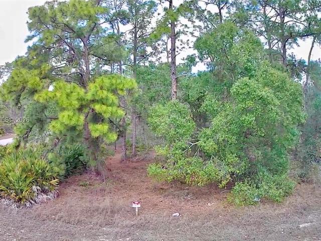 901 E 17th St, Lehigh Acres, FL 33972 | MLS #A11969