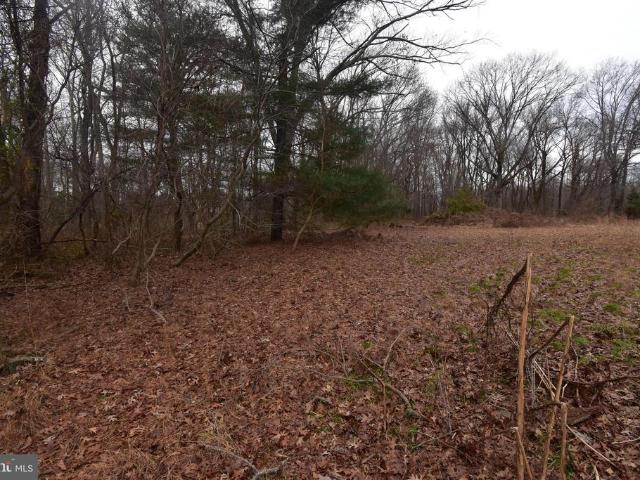 901 Mcelwee Road