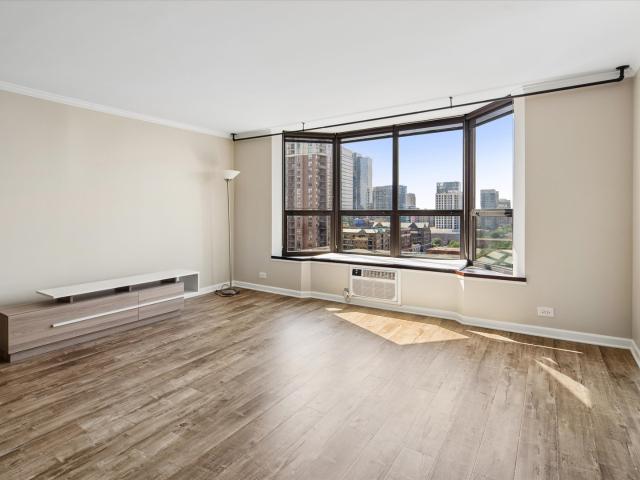 901 s plymouth court # 1101