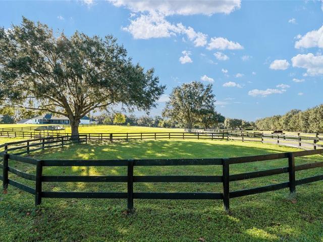 901 SW 87th Pl, Ocala, FL 34476 | MLS #OM712985