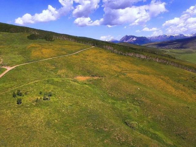 901 Red Mountain Rd, Almont, CO 81210