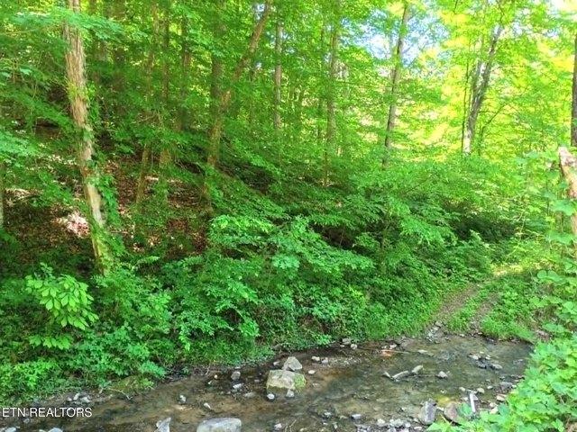 9025 Conner Rd, Powell, TN 37849