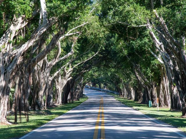 9025 SE Bridge Rd, Unit A, Hobe Sound, FL 33455 | MLS #B26041