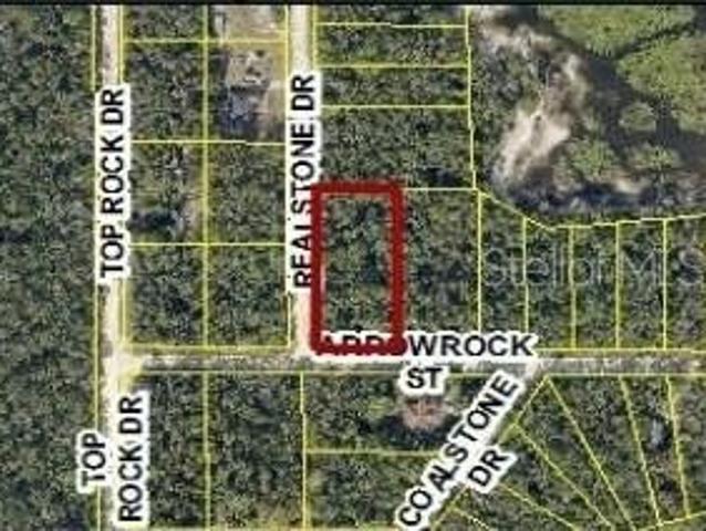 9028 Realstone Dr, Webster, FL 33597