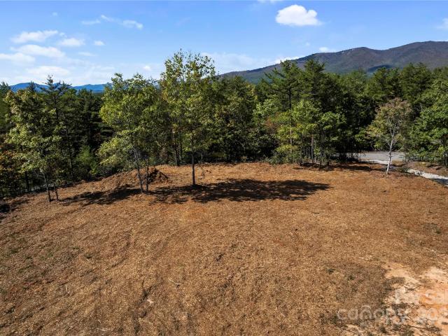 9028 Shortoff View Ter, Nebo, NC 28761 | MLS #4308