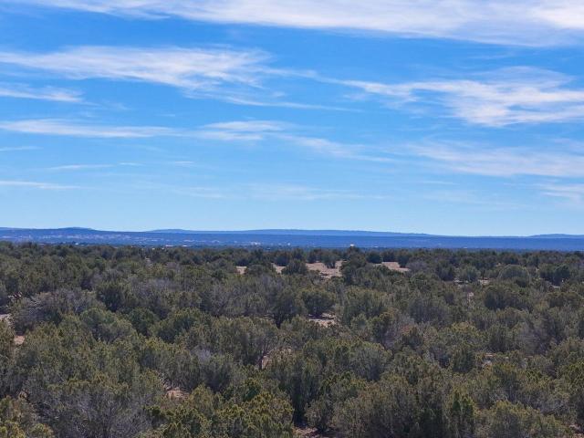 9023 Appaloosa Trail Lot D 10 Acres