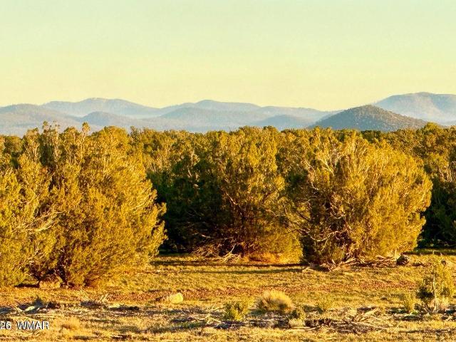 9023 Appaloosa Trail Lot E 10 Acres