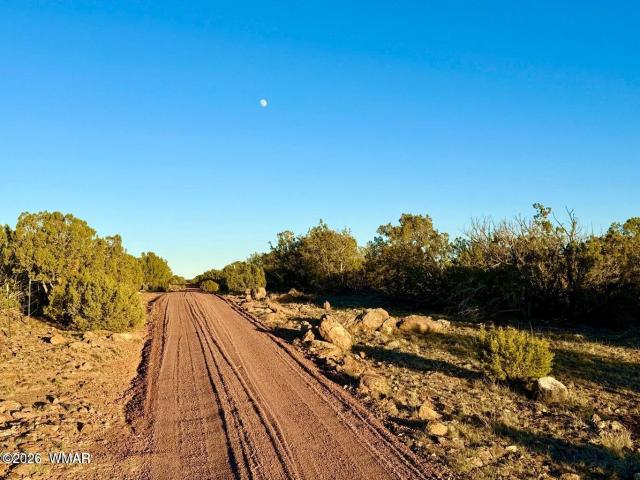 9023 Appaloosa Trail, Show Low, AZ 85901 | MLS #260382