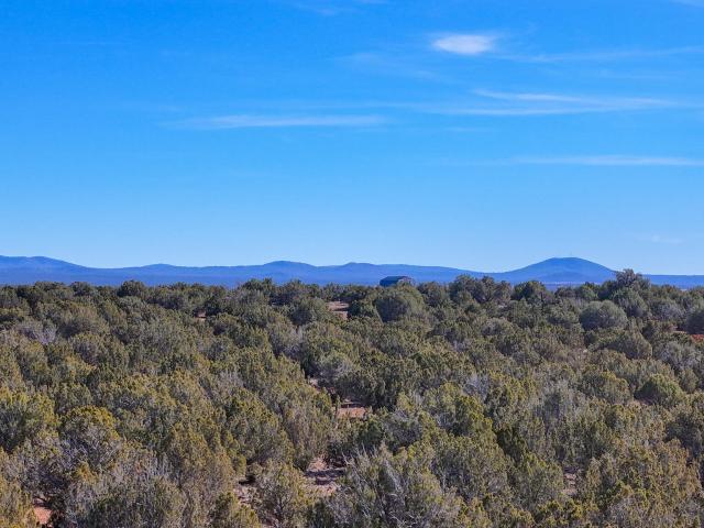 9023 Appaloosa Trl Lot B 5 Acres