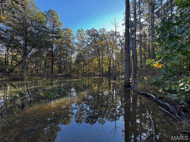 902 Ripley 160E, Doniphan, MO 63935