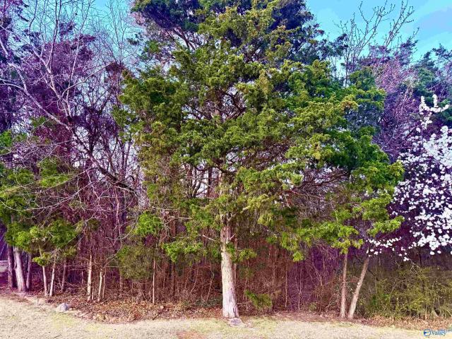902 Whispering Pines Trail