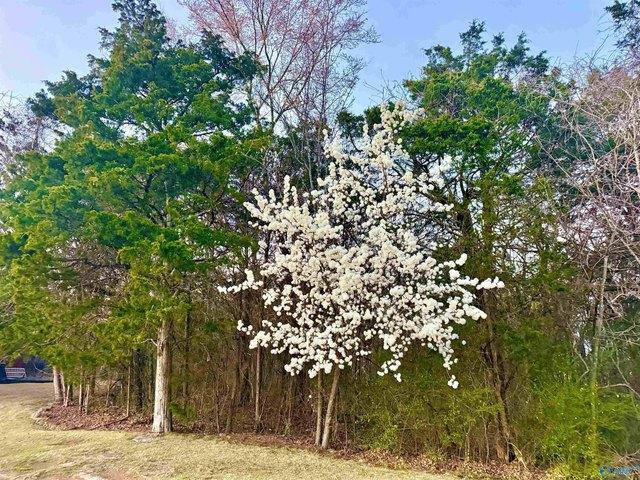 902 Whispering Pines Trl SW, Decatur, AL 35603