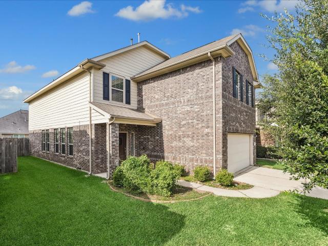 9031 Sweet Blue Jasmine Lane