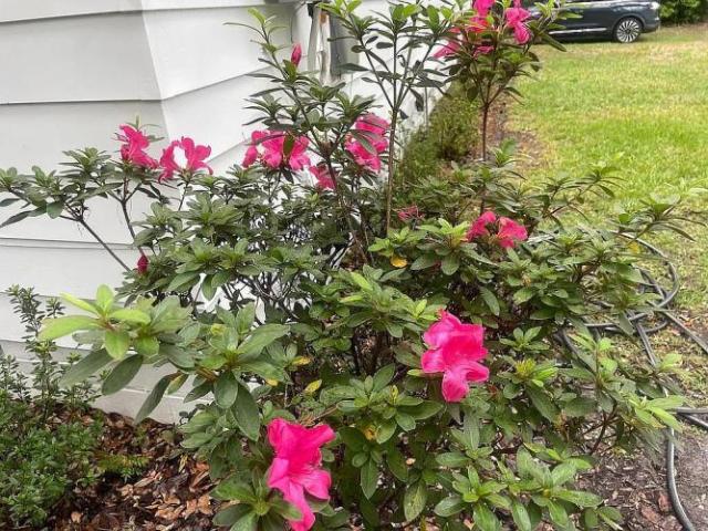 9046 Tyler Ave, Jacksonville, FL 32208 | MLS #11561 | Compass