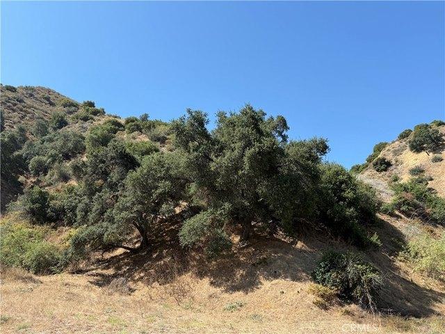 9040 LA Tuna, Sun Valley, CA 91352