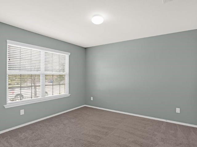 904 Opal Path
