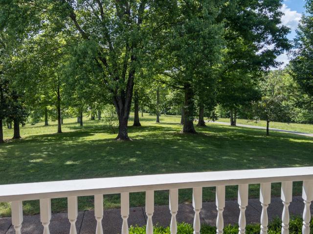 904 Weeping Willow Rd