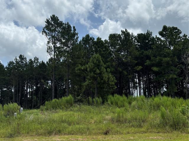 9056 Road 5503
