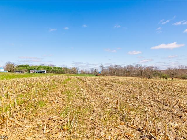 9050 Freeman Road 2