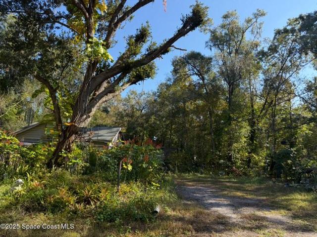 905 Baron Rd, Orlando, FL 32828