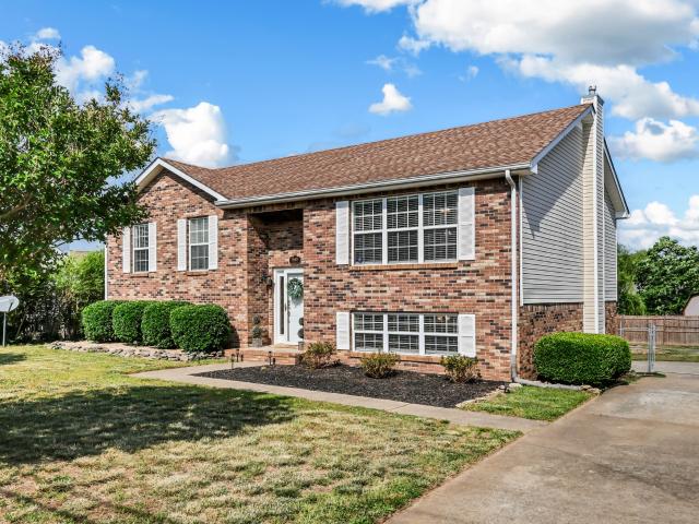 905 Dolphin Ln