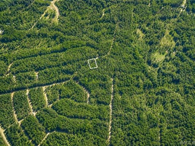 905 E Abend Dr, Dunnellon, FL 34434